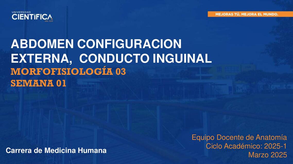 Ppts Morfo 3 anatomia COMPLETO 2025-1 | 1 ciclo | uDocz