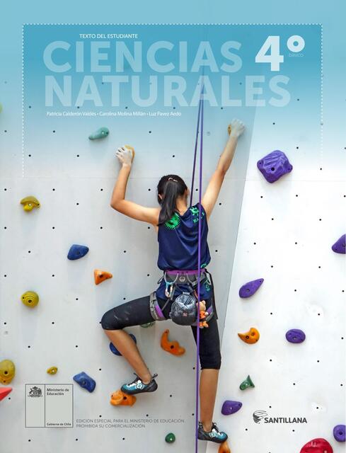 4 Básico Texto Estudiante | Rosa | uDocz