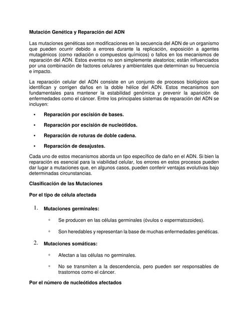 Ensayo mutaciones Geneticas y repacion celular | Gabriela | uDocz