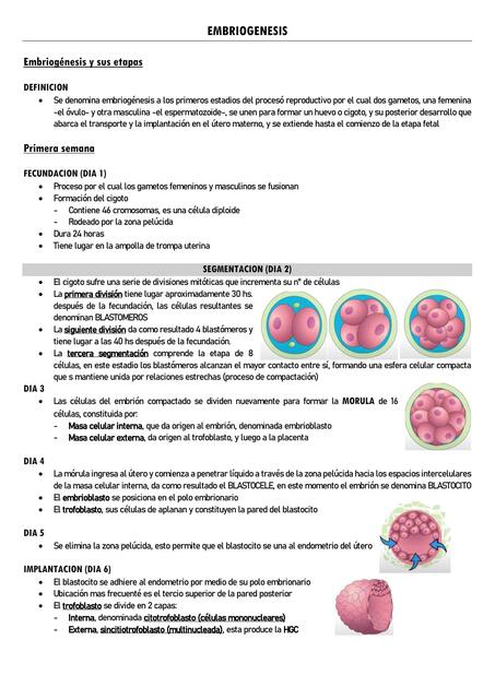 EMBRIOGENESIS | JuuLii Bengolea | uDocz