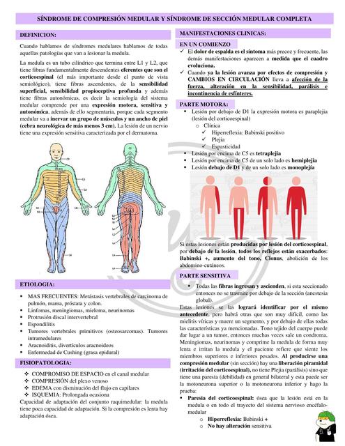SÍNDROME DE COMPRESIÓN MEDULAR Y SÍNDROME DE SECCI | Julian Torrez | uDocz