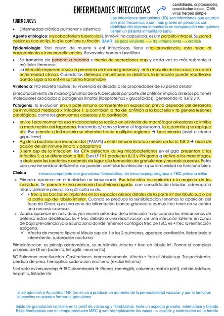 bolilla 5 | Karine Bacellar | uDocz