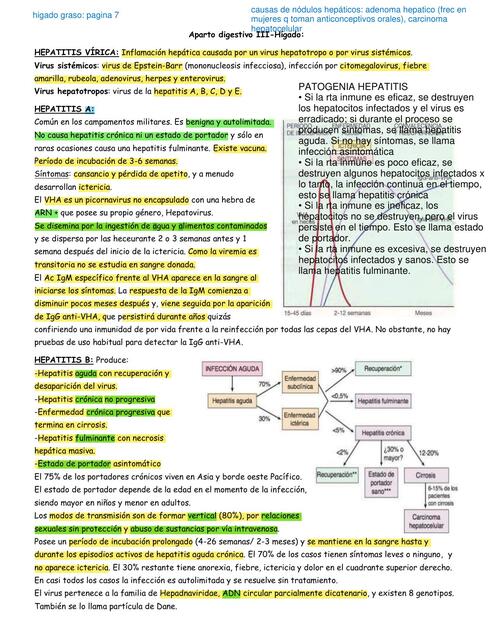 bolilla 20 | Karine Bacellar | uDocz
