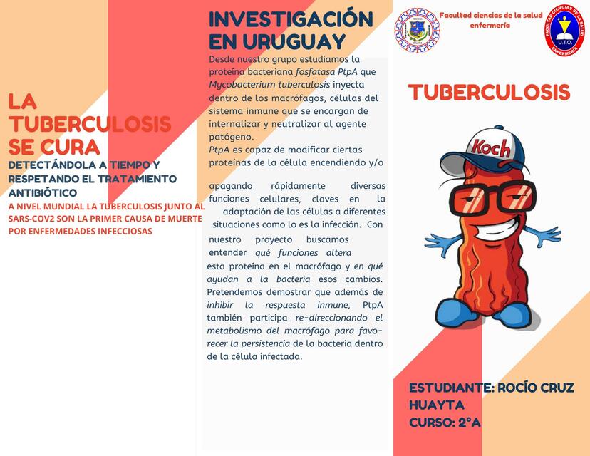 Tríptico tuberculosis final Andrea Villarino pdf | Judith | uDocz