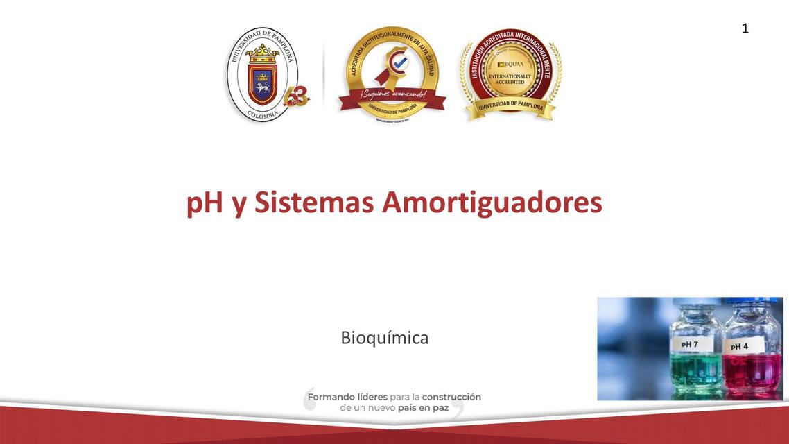 Ph y sistema amortiguadores | Erick | uDocz