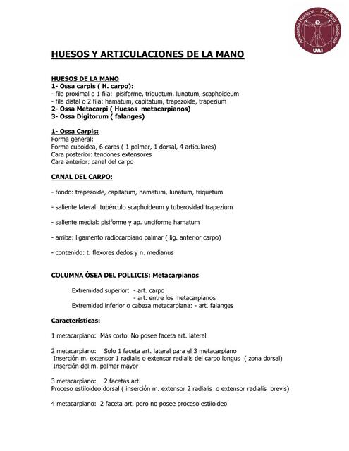 Huesos y Articulaciones de la mano | Barbara valenti | uDocz