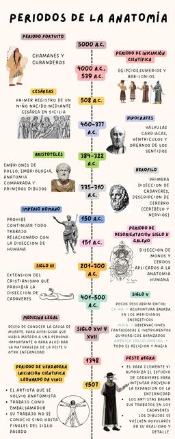 PERIODOS DE LA ANATOMIA pdf | Sofia | uDocz