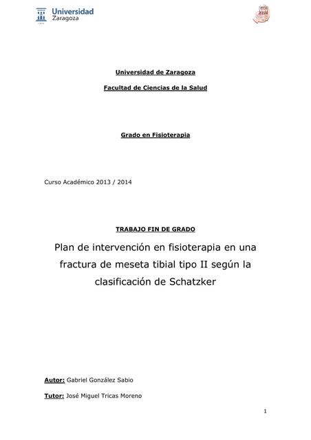 TAZ TFG 351 | Daniel Narea | uDocz