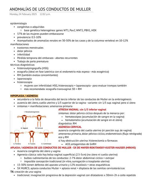 ANOMALÍAS DE LOS CONDUCTOS DE MULLER | SARA PORTILLO | uDocz