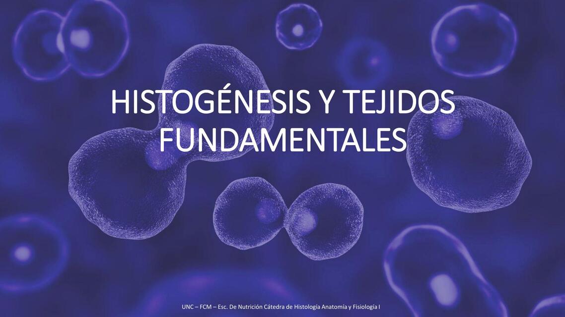 HISTOGÉNESIS Y TEJIDOS FUNDAMENTALES | Victoria | uDocz