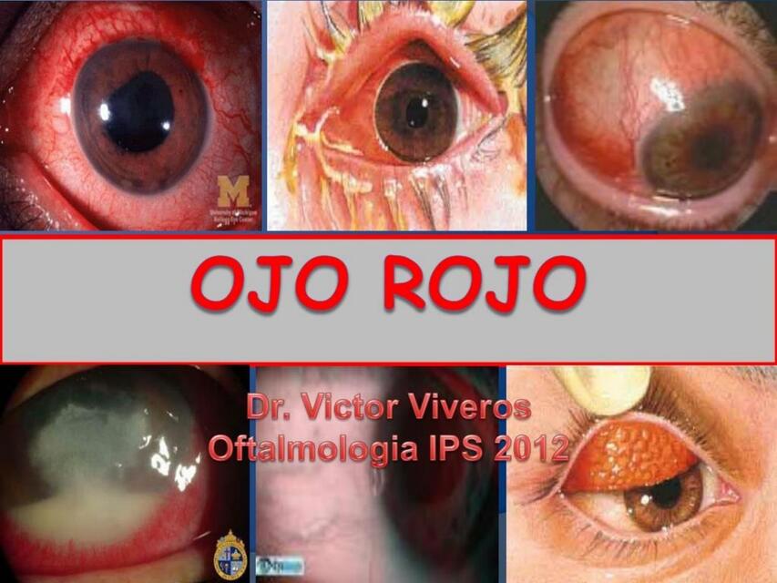 document | Juan | uDocz