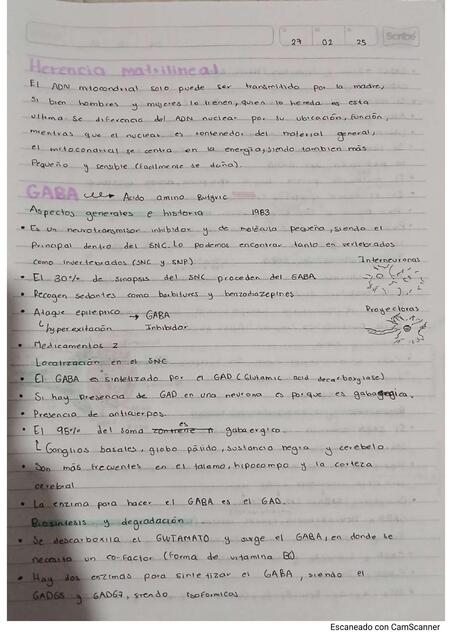 Flashcards de CamScanner 07 04 18 15 | Por sara | uDocz