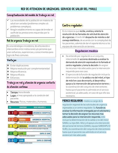 RED DE ATENCION DE URGENCIAS | Paz | uDocz