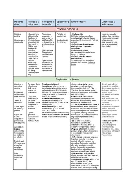 Bacteriología | SARA PORTILLO | uDocz