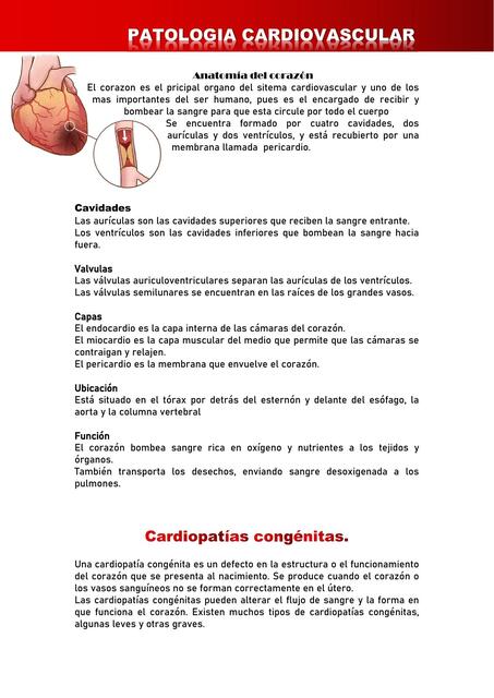 Anatomia Patológica Cardiovascular | Josadac | uDocz