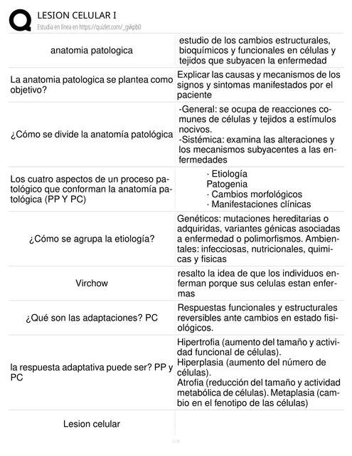 LESION I | Jeffrey Alberto Mangandi Romero | uDocz