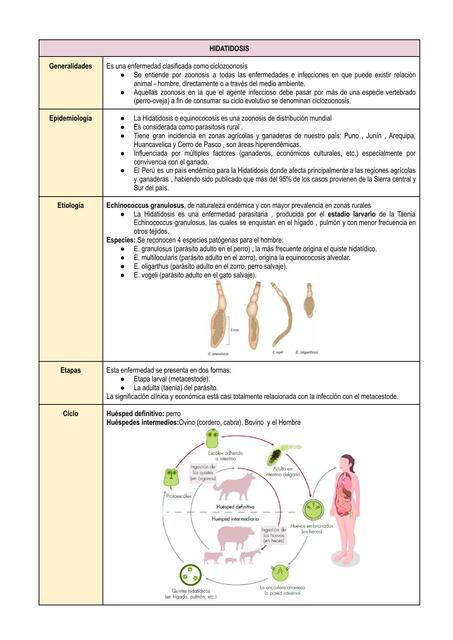 Hidia | Carla Fernanda Saavedra Quintanilla | uDocz
