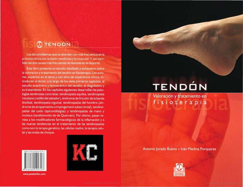 TENDÓN VALORACIÓN Y TRATAMIENTO EN FISIOTERAPIA | ELENA TENORIO | uDocz