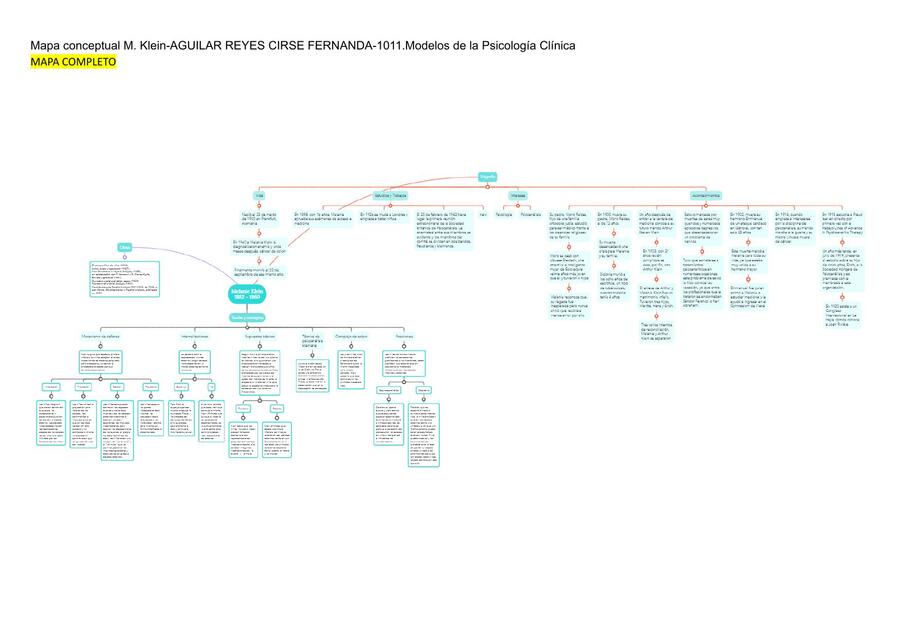 Mapa conceptual M Klein REYES CIRSE | Cirse | uDocz