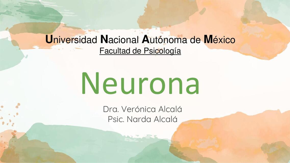 Neurona 1 | Cirse | uDocz