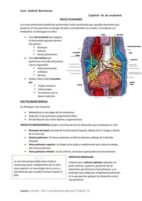 RAÍCES PULMONARES cap 96 | Nathali Barrientos | uDocz