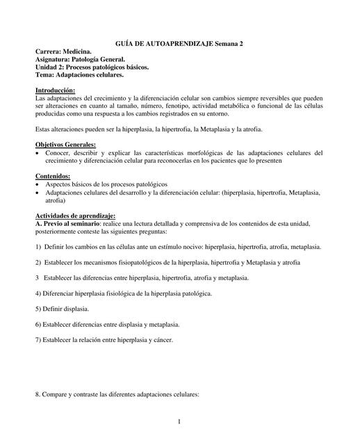 Guía de auto aprendizaje 3 | Estefany Carcamo | uDocz