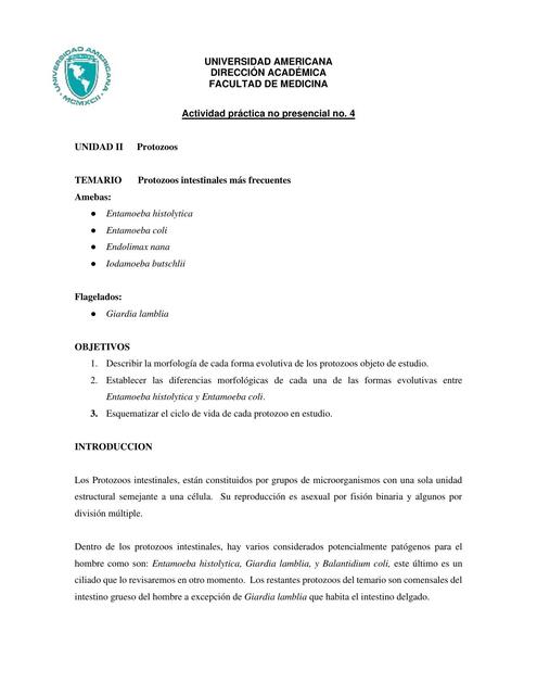 Guía de actividad práctica no presencial No 4 Prot | Estefany Carcamo ...