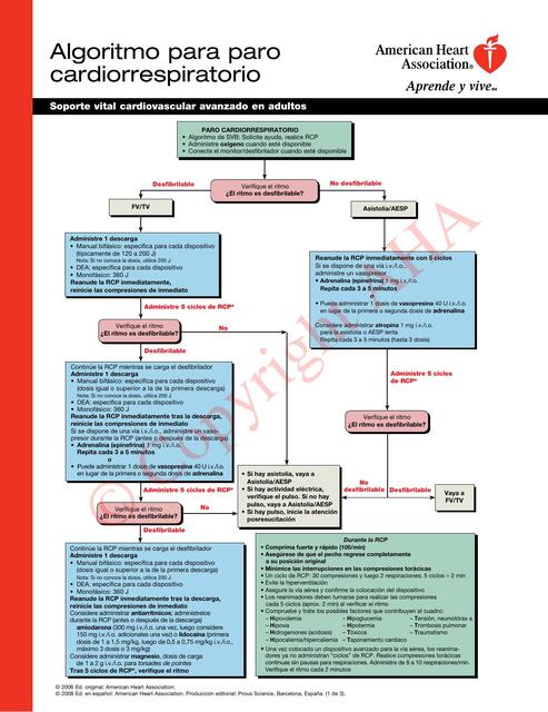 ACLS Algoritmos | Alexis | uDocz
