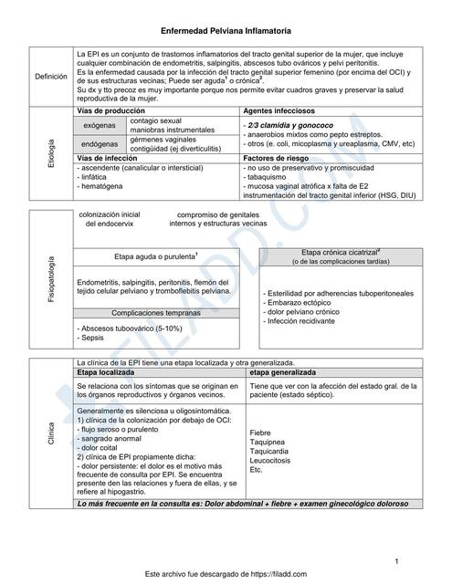 Resumen Gineco | Gimena Gabriela | uDocz