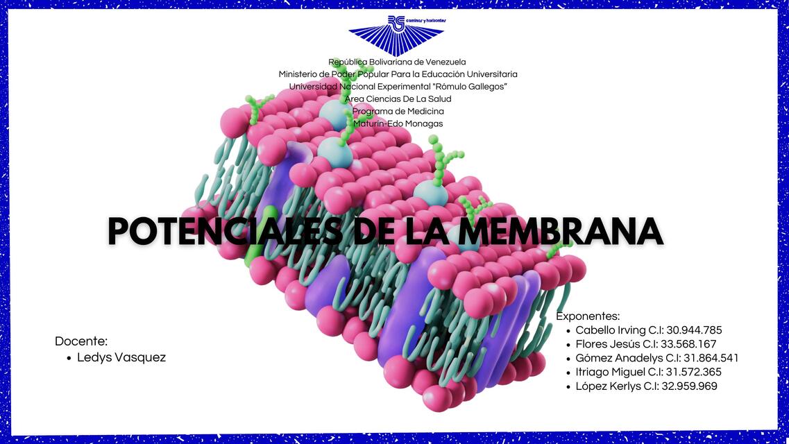 fisio1 | Erica Flores | uDocz