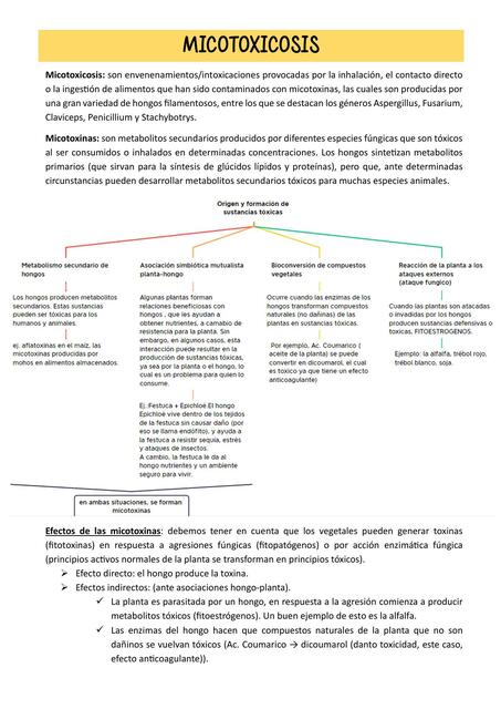 micotoxicosis | Apuntesvet.micaarze | uDocz