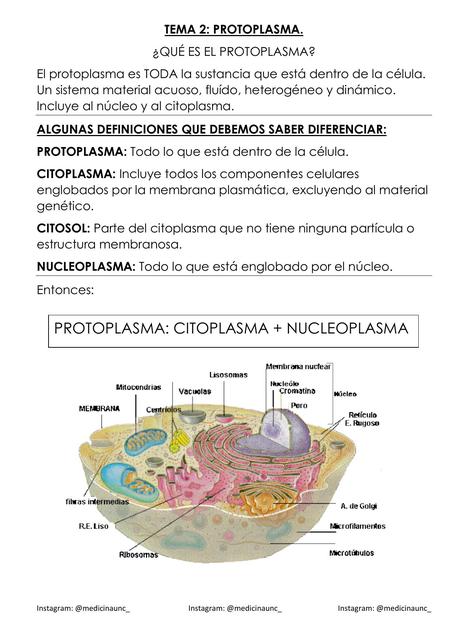 TEMA 2 PROTOPLASMA | uDocz creators | uDocz