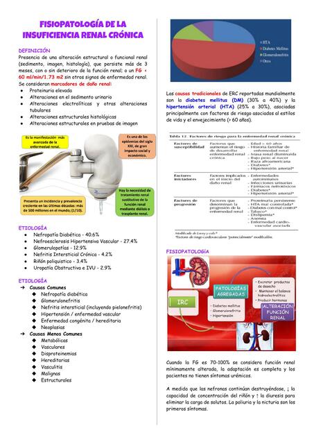 FISIOPATOLOGÍA DE LA INSUFICIENCIA RENAL CRÓNICA | Thalia Paola Caballero Quispe | uDocz