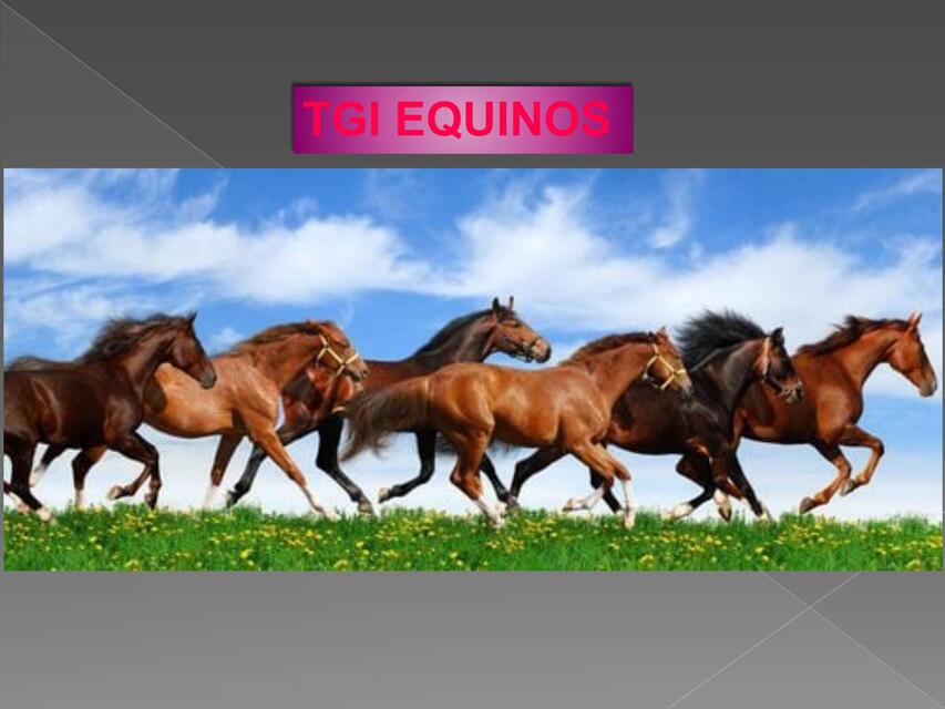 APznzaZwCqluZ6hbhFEwjJLLv8PJbu4siFV6ndxe0wgvPdayx4 | kevin argueta | uDocz