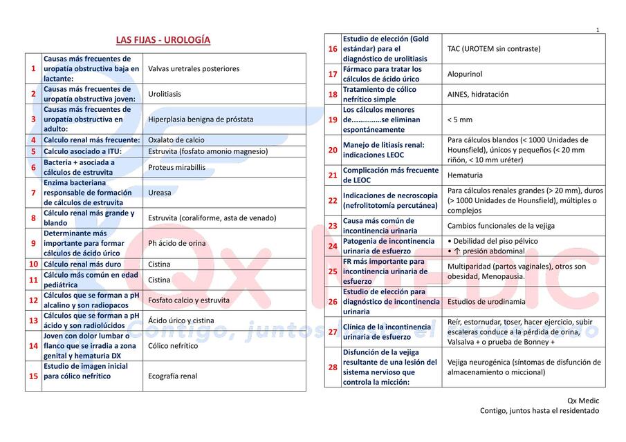 Fijas de Urología | Mariam A. | uDocz