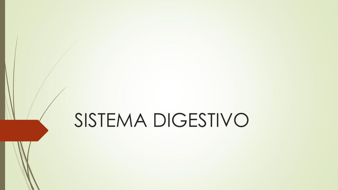 PPT SISTEMA DIGESTIVO pdf | Rocio | uDocz