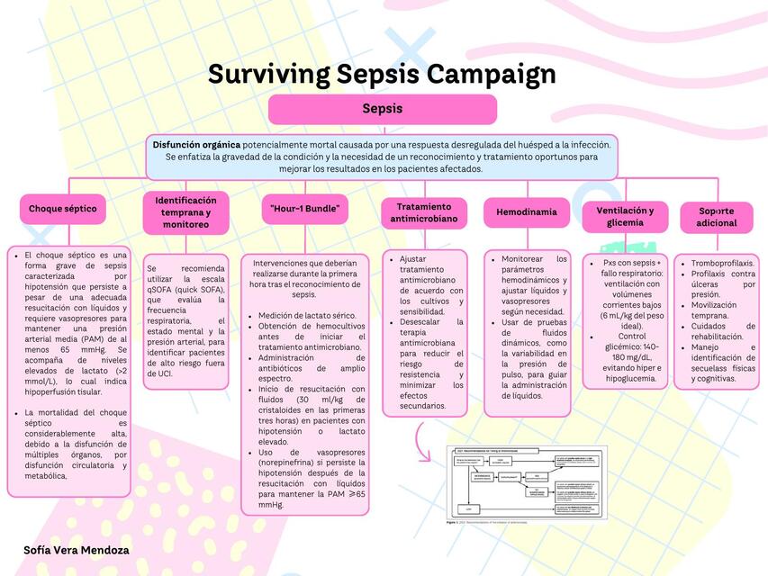 Surviving Sepsis Campaign mapa | Sofía Vera | uDocz