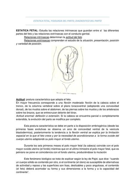9 Estatica Fetal | Reinaldo Acosta | uDocz