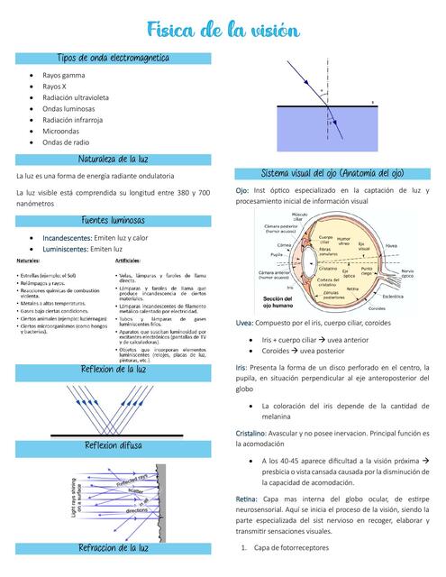 Fsica de la visin TEMA 10 | Ximena Rosario Cornejo Ochoa | uDocz