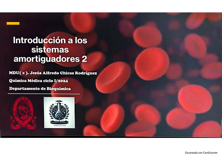 clase 13 | Carolina | uDocz