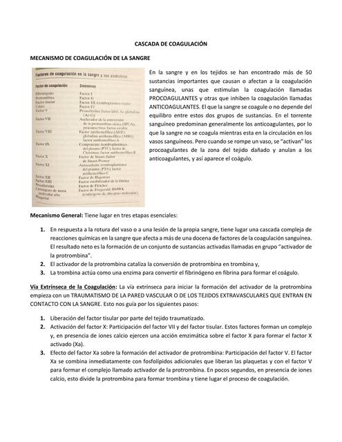 2 Cascada de Coagulacin1 | Reinaldo Acosta | uDocz