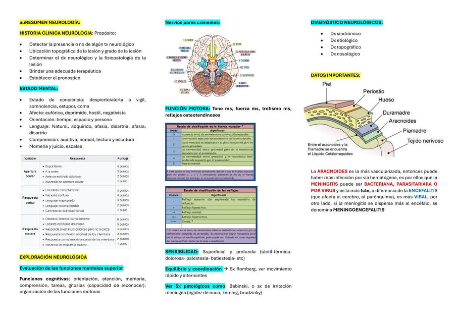 NEURO | paola | uDocz