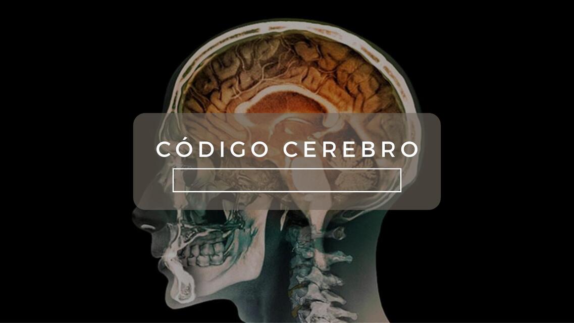 CODIGO CEREBRO | Gabriel Vargas | uDocz