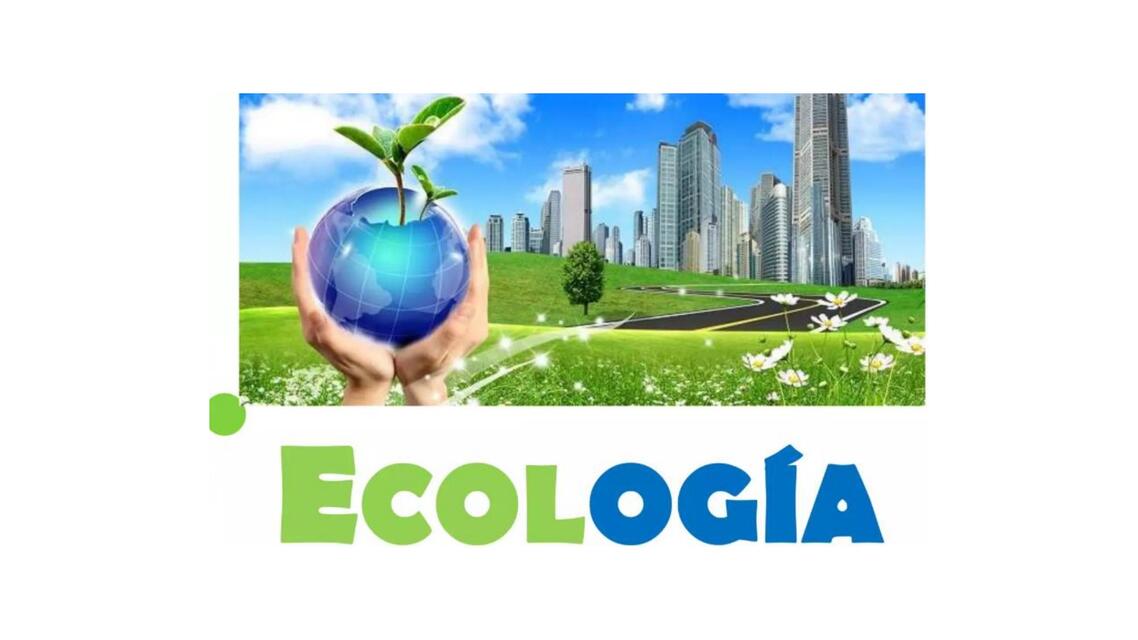 apoyo ecologia Tema 1 | Rocio Reinaga Ruiz | uDocz