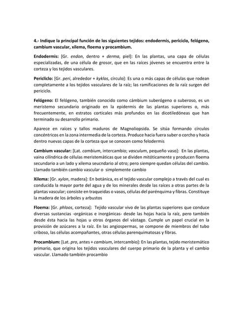 Conceptos básicos y funciones morfología vegetal de plantas sin semilla ...