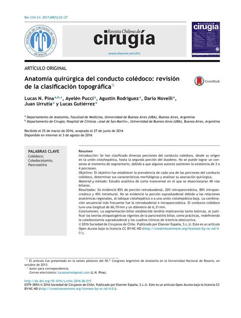Anatomia quirurgica del conducto coledoco revision | Katherine Familia ...