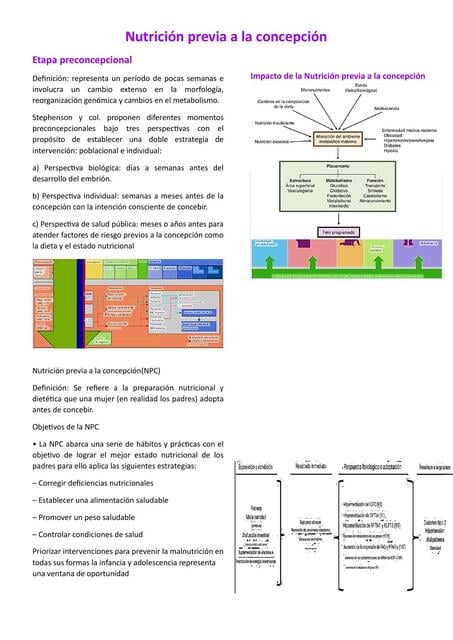 SEMANA 9Nutrición previa a la concepción | JUANITA SARAI CASTRO LEYTON ...
