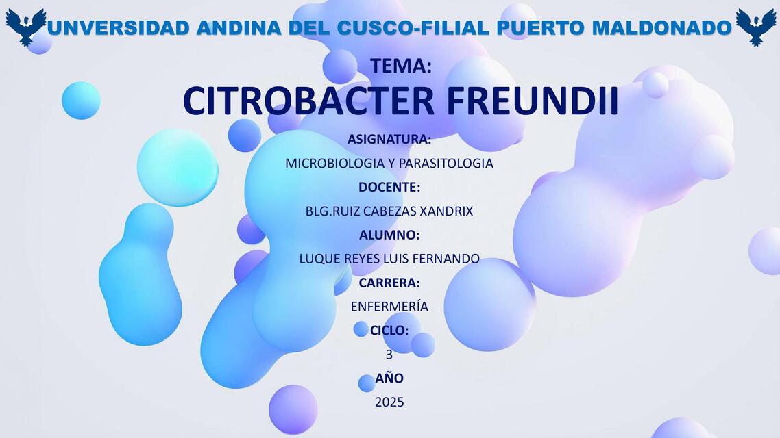 Citrobacter freundii | Luis Fernando | uDocz