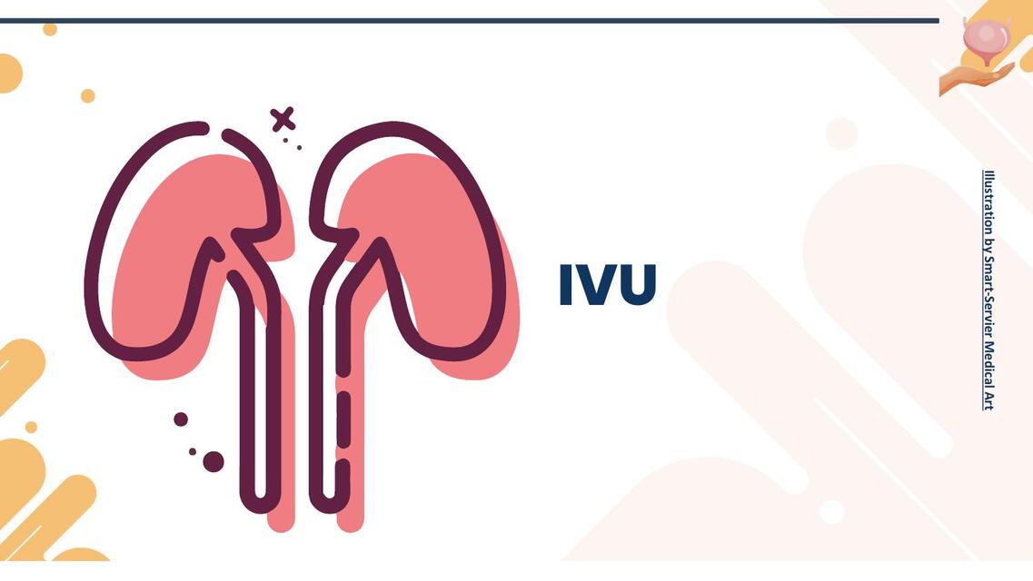 IVU | Lizeth Chamorro | uDocz