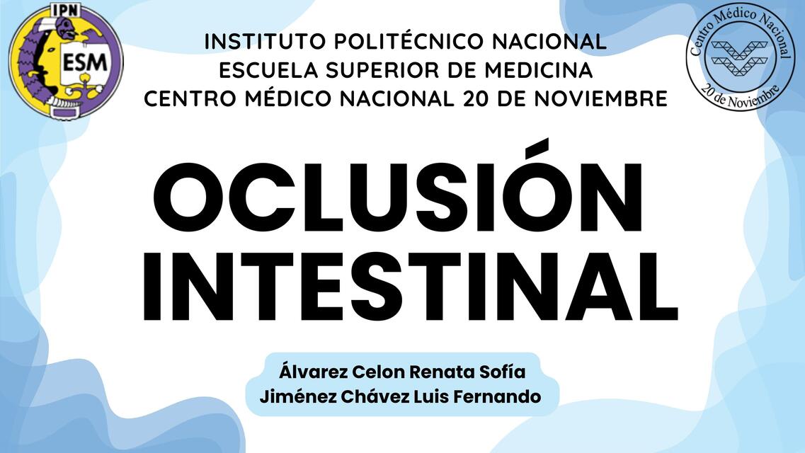 OCLUSIÓN INTESTINAL 2 | Renata Sofía Álvarez Celón | uDocz